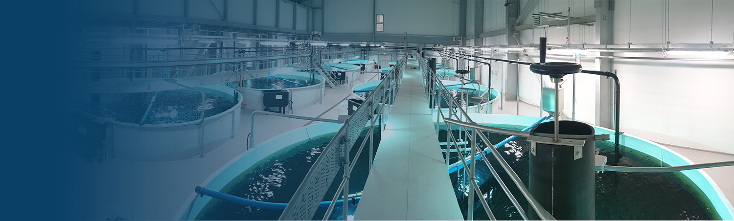 Contact – SMA Cleaning Systems
